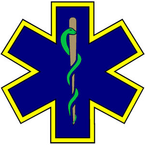 Blue & Yellow Star Of Life EMS - Vinyl Sticker at Sticker Shoppe