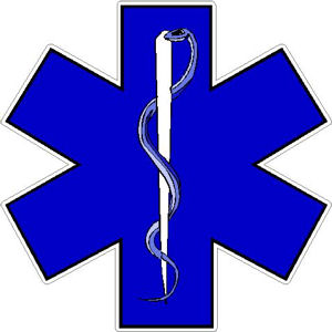 Star Of Life Simple - Decal at Sticker Shoppe