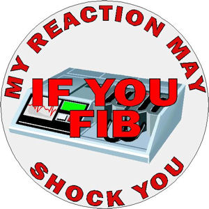 If You Fib I Will Shock You - Decal at Sticker Shoppe
