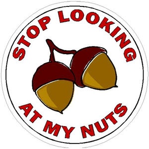 Stop Looking At My Nuts - Vinyl Sticker at Sticker Shoppe