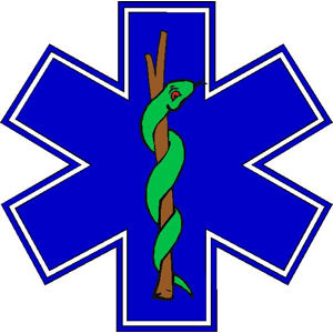 Star of Life - Sticker at Sticker Shoppe