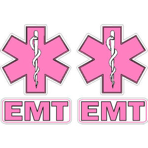 Pink Emt Logo