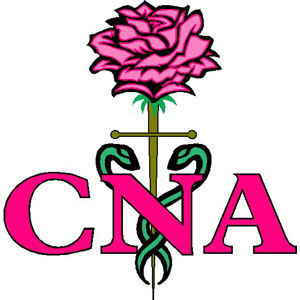 Certified Nursing Assistant Pink Rose - Decal at Sticker Shoppe