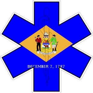 State of Delaware Star of Life - Decal at Sticker Shoppe