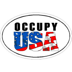 Occupy USA American Flag - Oval Sticker at Sticker Shoppe
