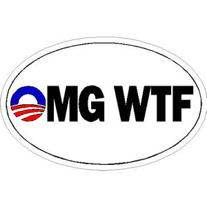 OMG WTF - Oval Sticker at Sticker Shoppe
