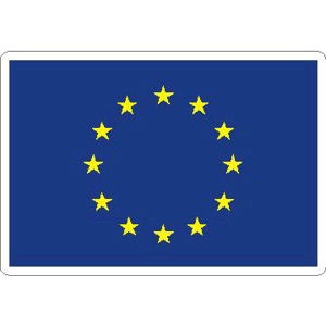 European Union Flag - Rectangle Sticker at Sticker Shoppe