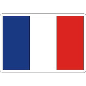 France Flag - Rectangle Sticker at Sticker Shoppe