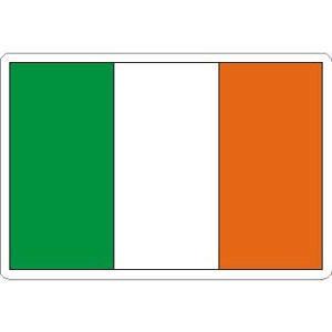 Ireland Flag - Rectangle Sticker at Sticker Shoppe