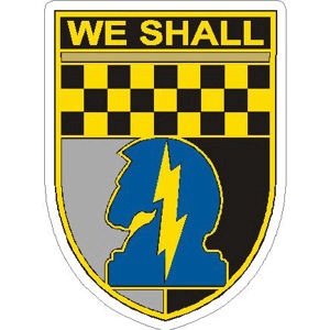 United States Army 640th Military Intelligence Battalion - Vinyl ...