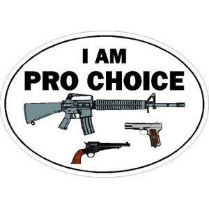 I Am Pro Choice Gun Rights - Sticker at Sticker Shoppe