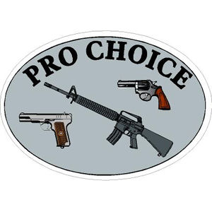 Pro Choice Guns - Sticker at Sticker Shoppe