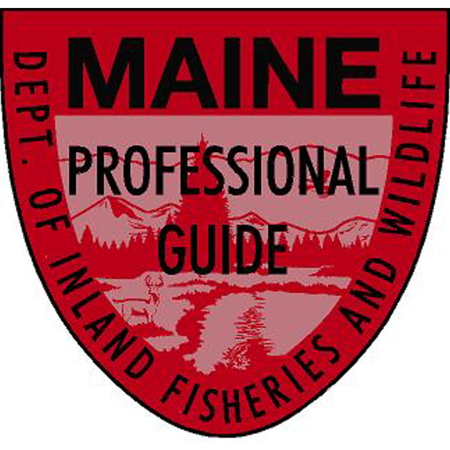 Maine Dept Of Inland Fisheries And Wildlife Professional Guide - Vinyl ...