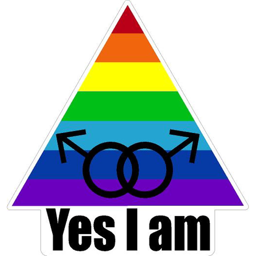 LGBTQ Rainbow Yes I Am Boy Male - Vinyl Sticker at Sticker Shoppe