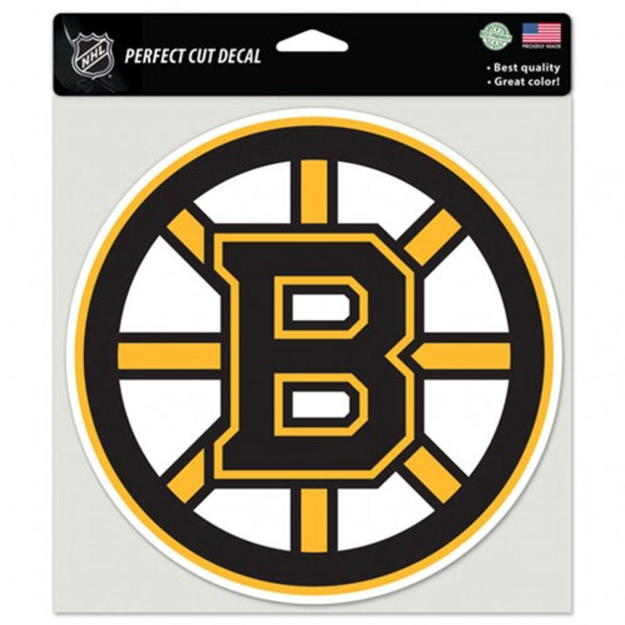 Boston Bruins - 8x8 Full Color Die Cut Decal at Sticker Shoppe