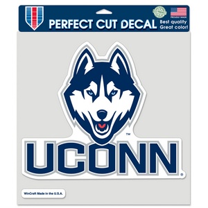 University Of Connecticut UCONN Huskies Logo - 8x8 Full Color Die Cut ...