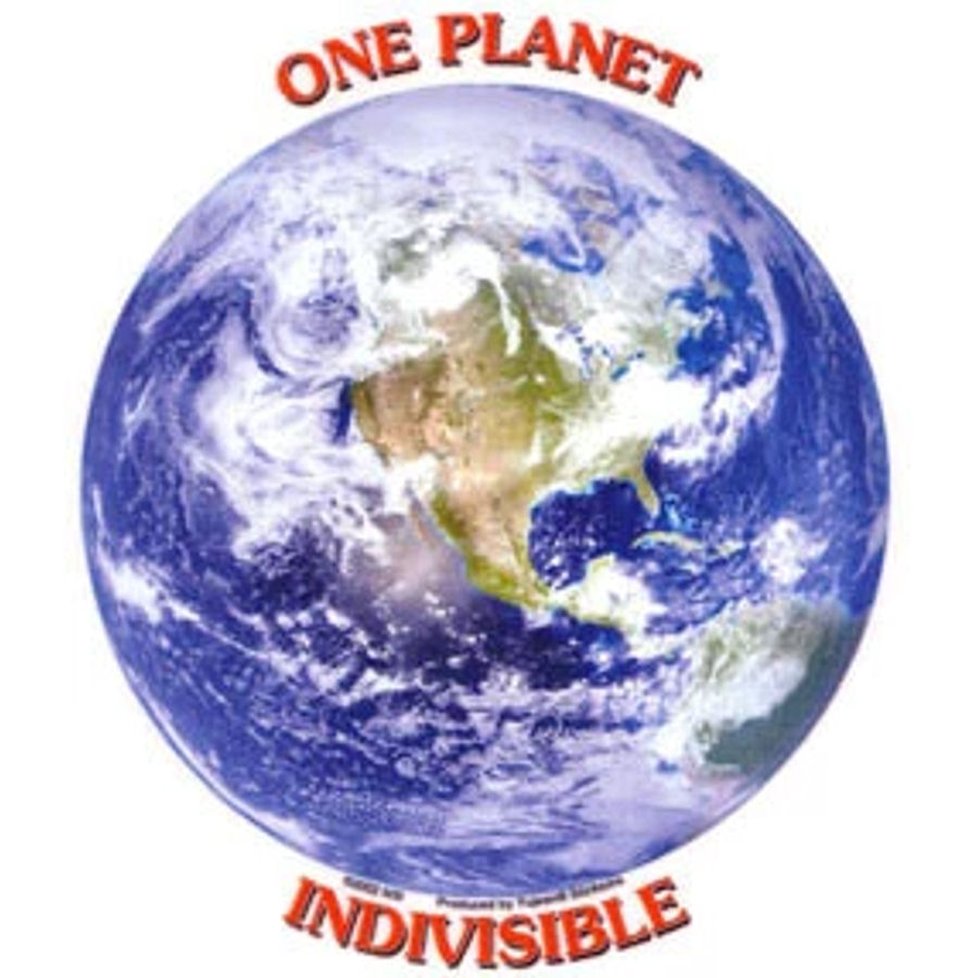 One Planet Earth Indivisible - Vinyl Sticker at Sticker Shoppe