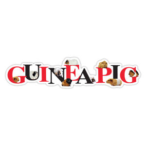 Guinea Pig - Alphabet Magnet at Sticker Shoppe