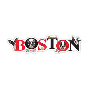 Boston - Alphabet Magnet at Sticker Shoppe