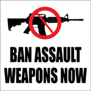 Ban Assault Weapons Now - Sticker at Sticker Shoppe