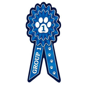 Group 1 - Blue Prize Ribbon Magnet at Sticker Shoppe