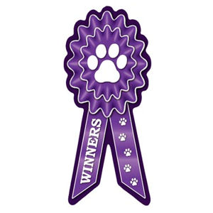 Winners - Purple Prize Ribbon Magnet at Sticker Shoppe
