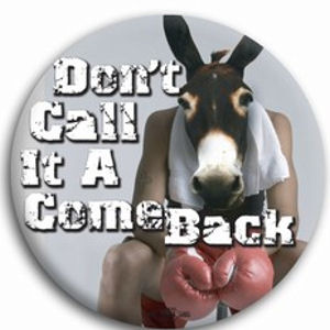 Donkey Boxer - Button at Sticker Shoppe