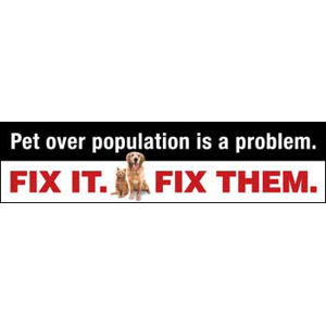 Pet Over Population Is A Problem - Bumper Magnet at Sticker Shoppe