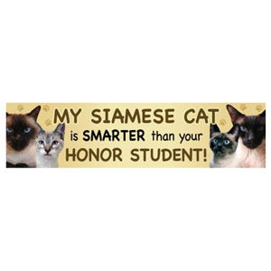 My Siamese Cat Is Smarter Than Your Honor Student - Bumper Magnet at ...