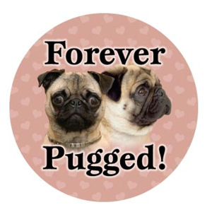 Pug Forever Pugged! - Circle Magnet at Sticker Shoppe