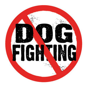 Anti Dog Fighting Stop - Circle Magnet at Sticker Shoppe