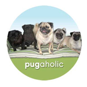 Pug Pugaholic - Circle Magnet at Sticker Shoppe