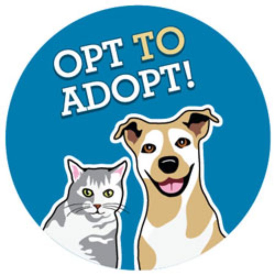 Opt To Adopt - Blue Circle Magnet at Sticker Shoppe