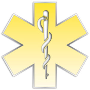 Yellow Gradient Star Of Life - Reflective Sticker at Sticker Shoppe