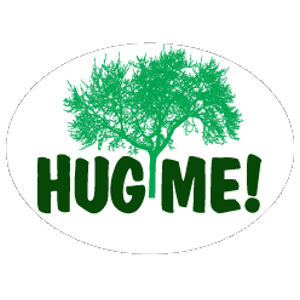 Hug Me Tree - Oval Sticker at Sticker Shoppe