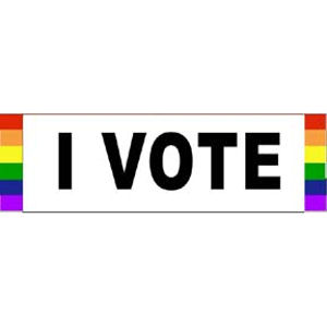 I Vote - Bumper Sticker at Sticker Shoppe