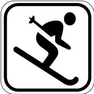 Downhill Skiing Symbol - Sticker at Sticker Shoppe