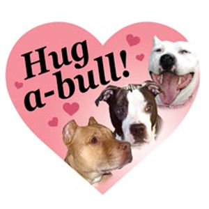 Hug-A-Bull - Heart Magnet at Sticker Shoppe