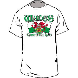 Wales - Adult T-Shirt at Sticker Shoppe