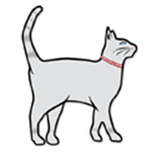 Large Gray Cat - Large Pet Magnets at Sticker Shoppe