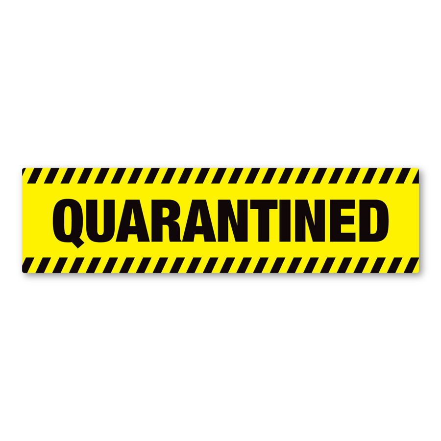 Quarantined Yellow & Black - Bumper Magnet at Sticker Shoppe