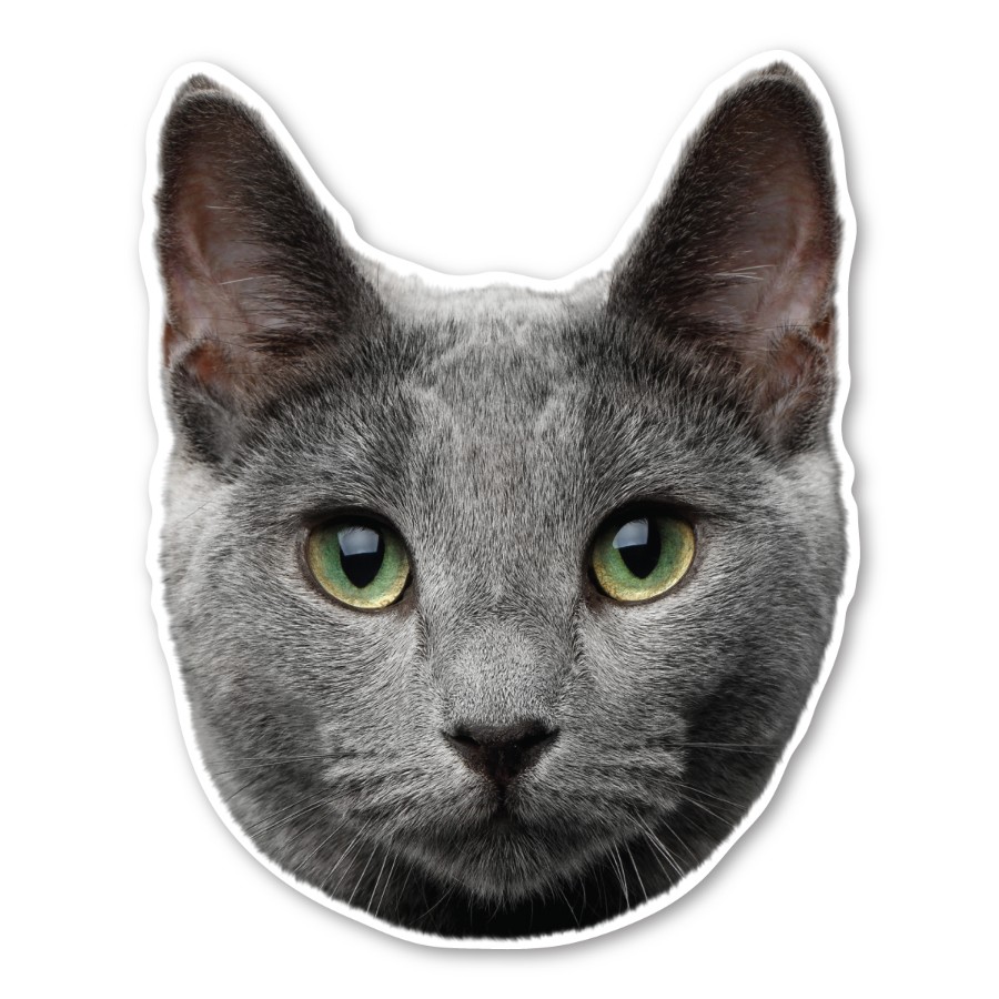 Russian Blue Cat Head - Magnet at Sticker Shoppe