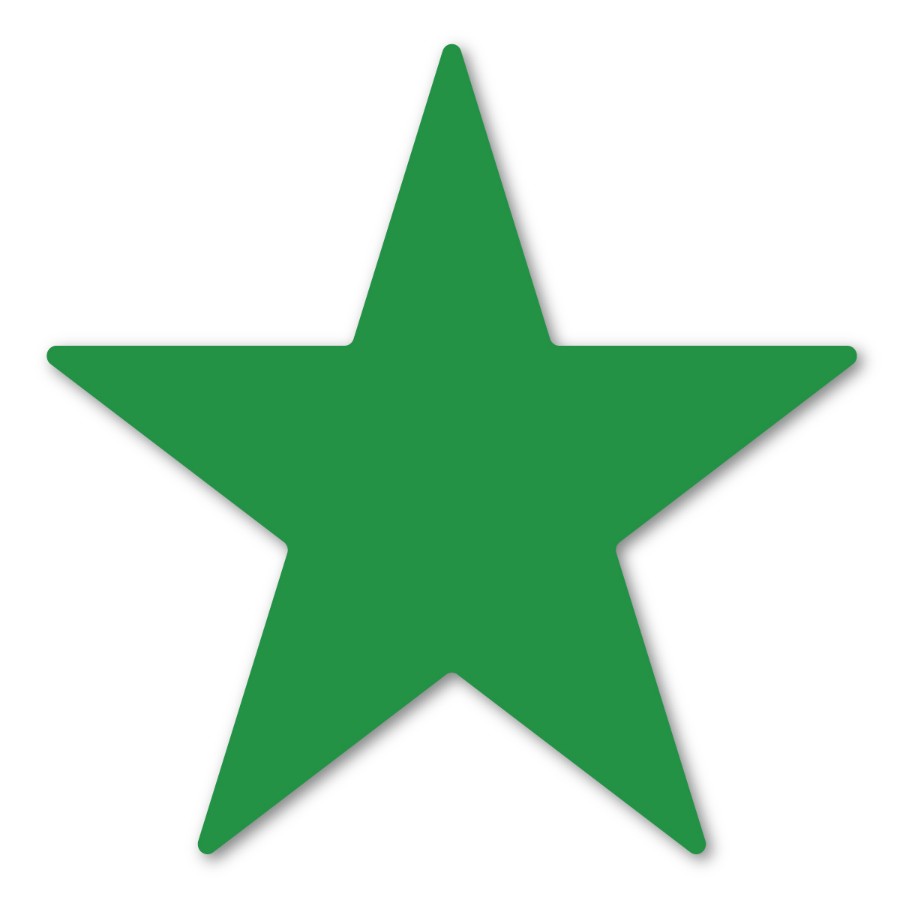 Dark Green Star - Magnet at Sticker Shoppe