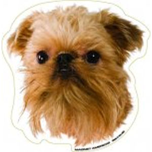 Brussels Griffon - Magnet at Sticker Shoppe