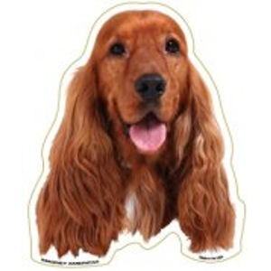 English Cocker Spaniel - Magnet at Sticker Shoppe