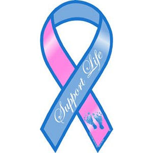 Support Life - Mini Ribbon Magnet at Sticker Shoppe