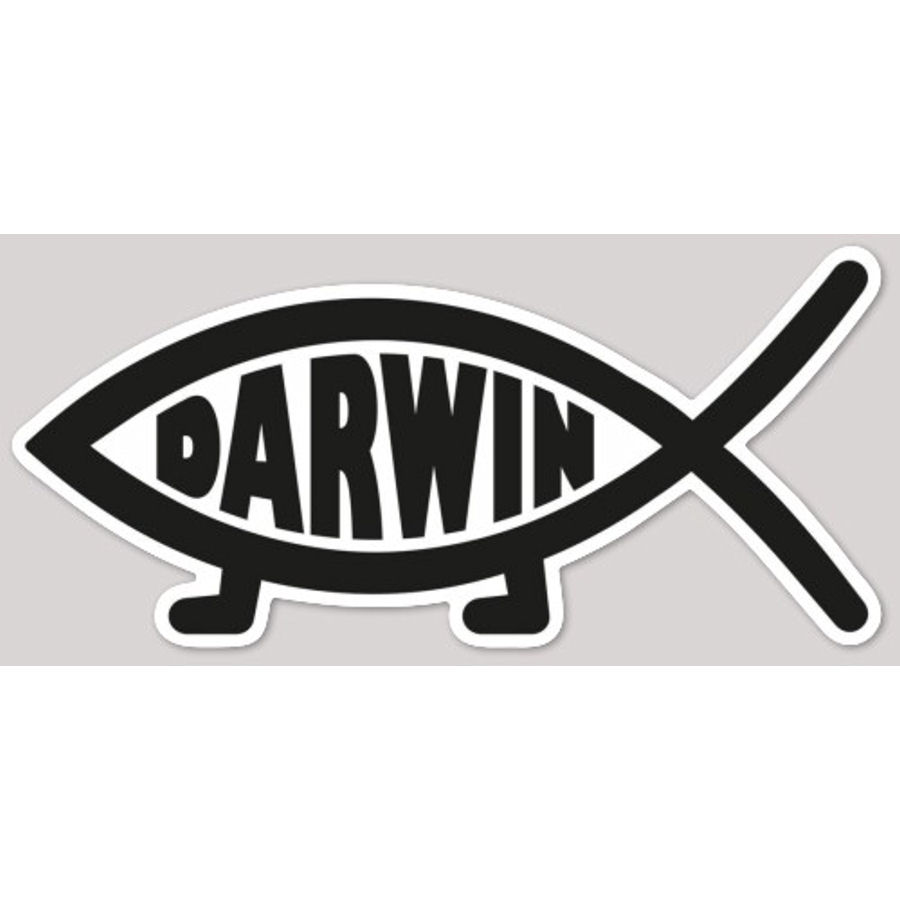 Darwin Fish Black & White - Vinyl Sticker at Sticker Shoppe