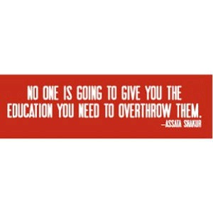 No One Is Going To Give You The Education You Need - Bumper Sticker at ...
