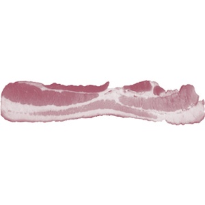 Bacon Strip - Bumper Sticker at Sticker Shoppe