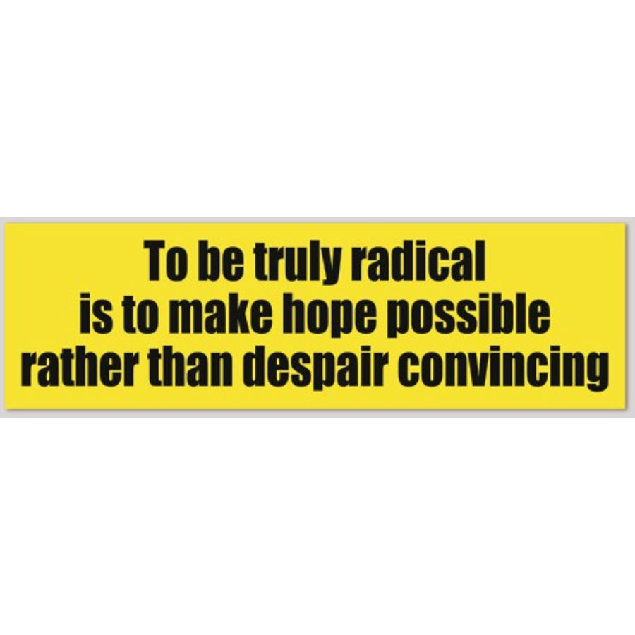 To Be Truly Radical Is To Make Hope Possible Rather Than Despair ...